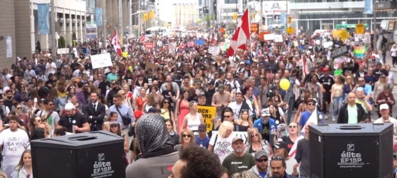 What is Freedom of Assembly and Why Does It Matter?