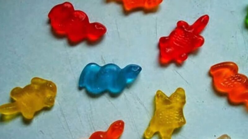 13 Banned Snacks in America and Why Are They Prohibited Still In 2025