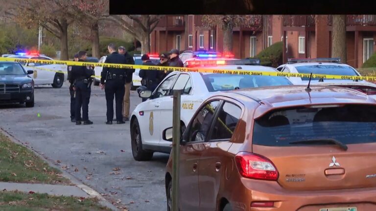 Indianapolis Crime Rate - 50+ Statistics for 2024 - Freedom For All ...