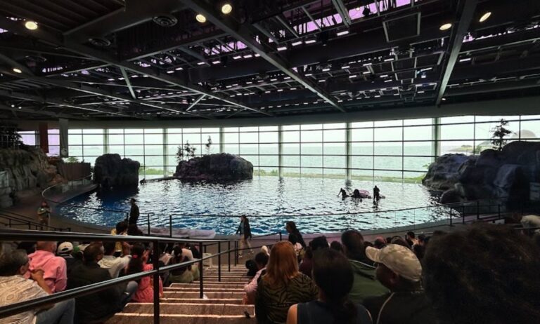17 Must-Visit Aquariums Across the United States in 2026