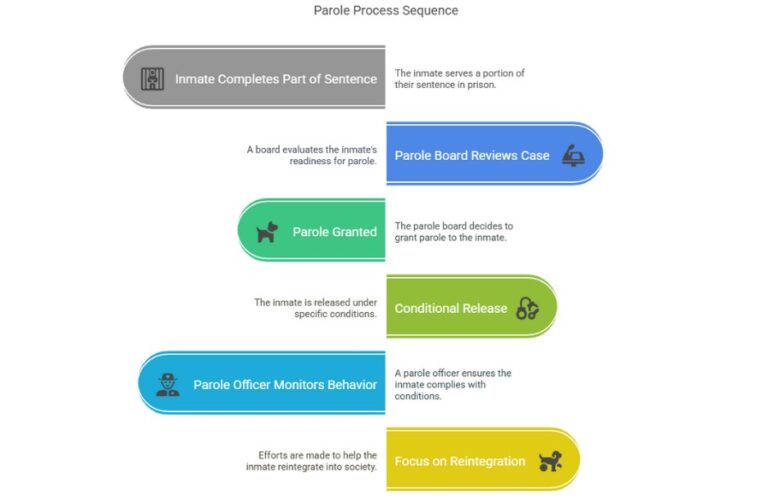 Parole vs Probation - What Sets Them Apart?