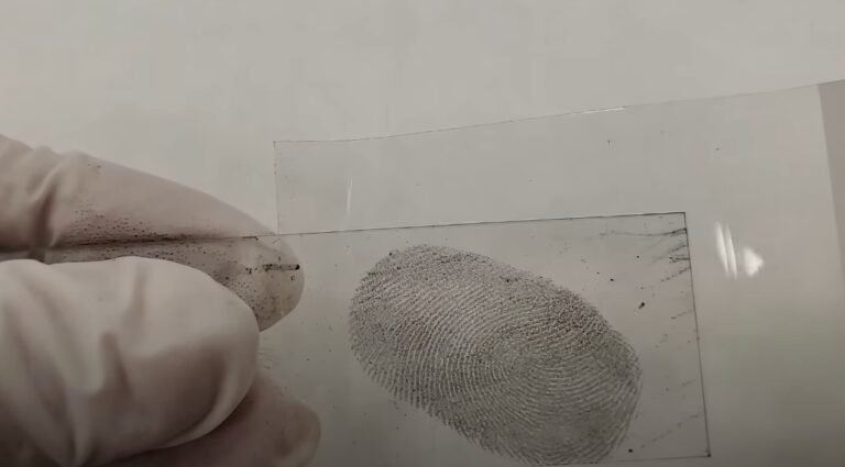 Types of Fingerprints in Forensics - Classification, Patterns & Real ...