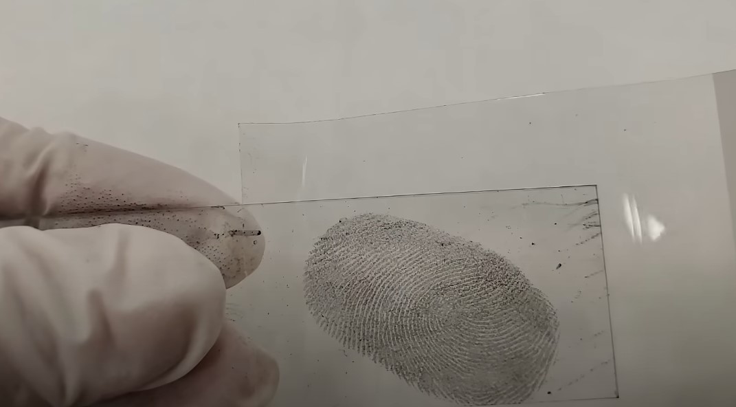 Types of Fingerprints in Forensics - Classification, Patterns & Real ...