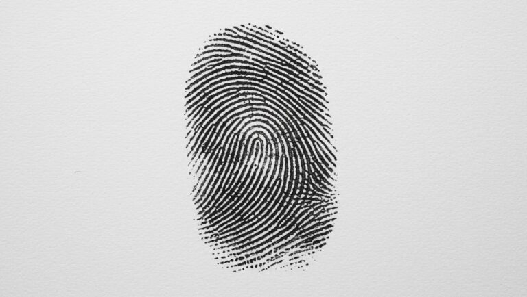 Types of Fingerprints in Forensics - Classification, Patterns & Real ...