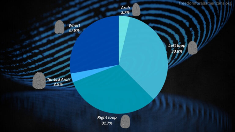 Types of Fingerprints in Forensics - Classification, Patterns & Real ...