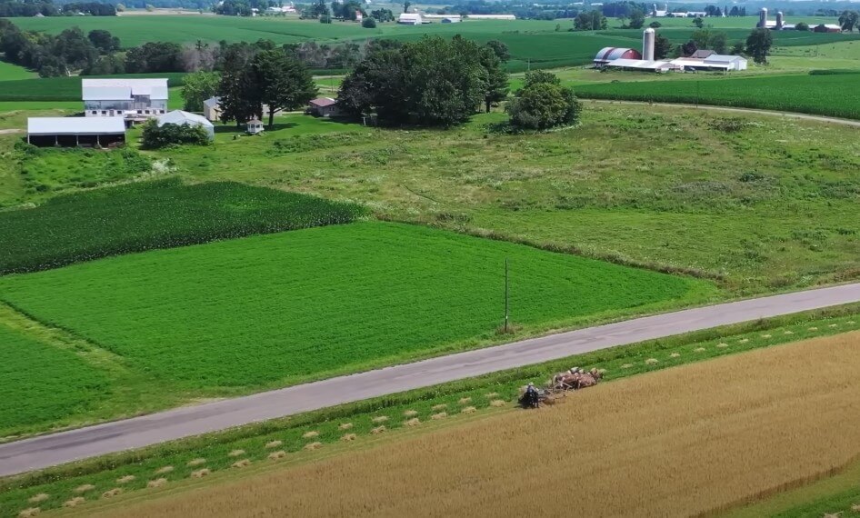 What Are the Differences Between Hutterites, Mennonites & the Amish?