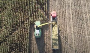 What Are the Differences Between Hutterites, Mennonites & the Amish?