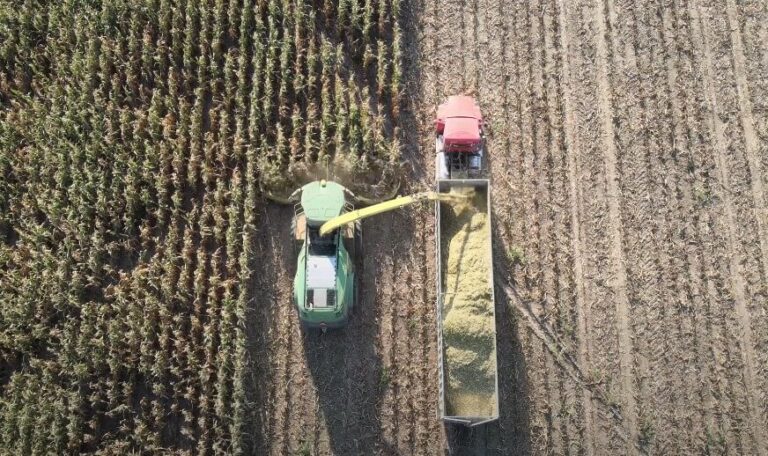 What Are the Differences Between Hutterites, Mennonites & the Amish?