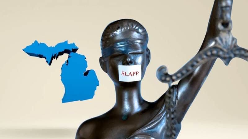 New Michigan SLAPP Style Law In 2026 - What Changes In Motions Practice ...
